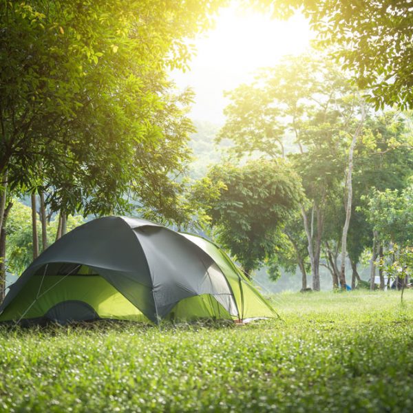 Tent Camping Sites – Cali Lake RV Resort